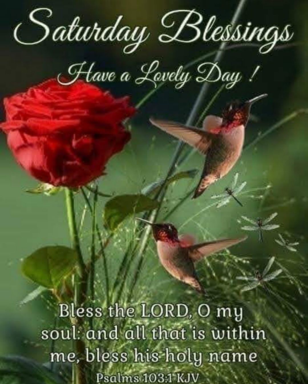 Rose & Hummingbird Saturday Blessings Pictures, Photos, and Images for ...