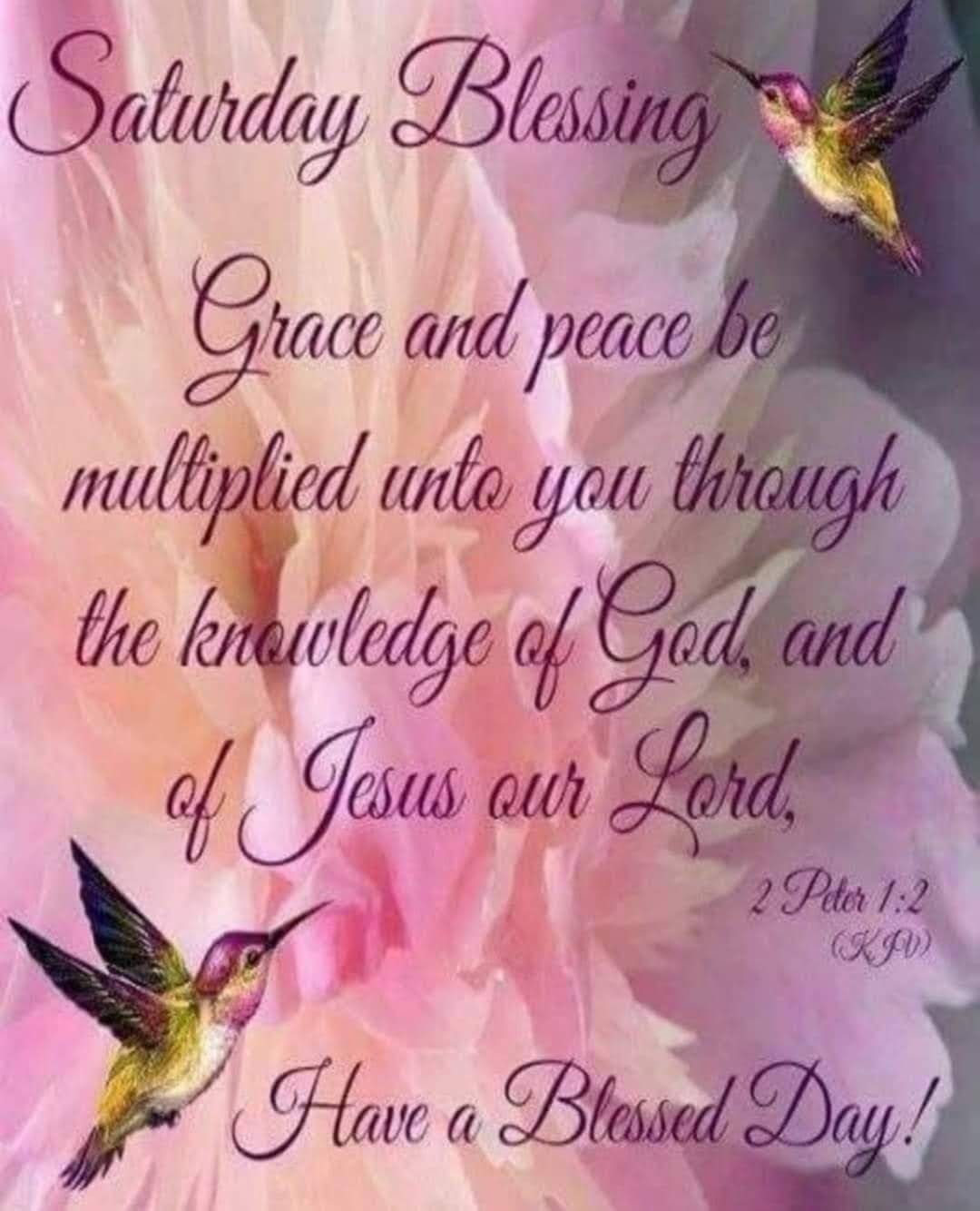 Grace And Peace - Saturday Blessing Pictures, Photos, and Images for ...