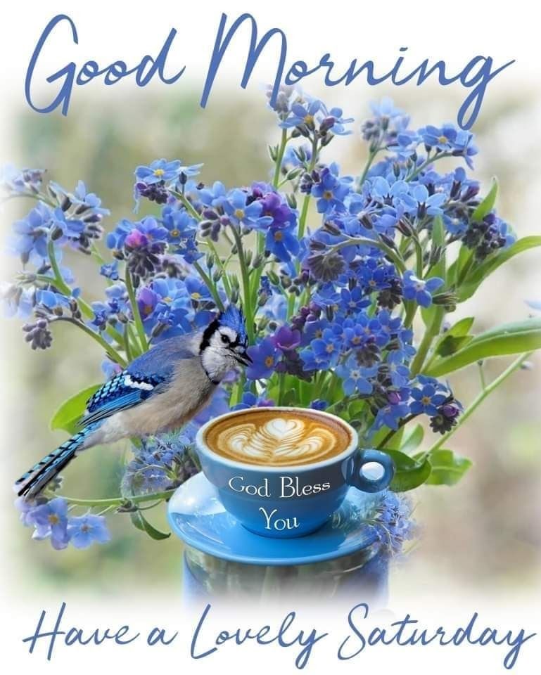 Good Morning, Have A Lovely Saturday Pictures, Photos, and Images for ...