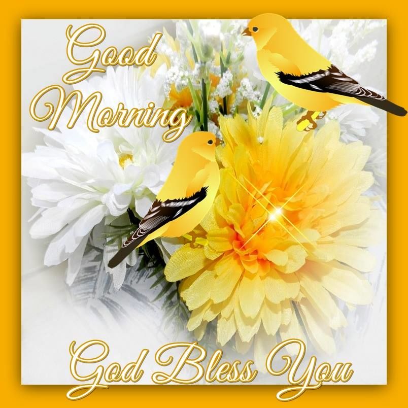 Yellow Bird Good Morning, God Bless You Pictures, Photos, and Images ...