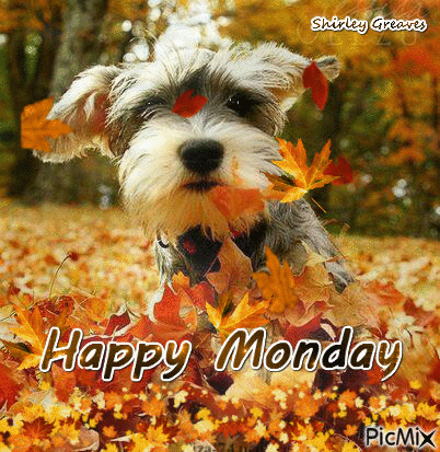 Doggy Happy Monday Autumn Gif Pictures, Photos, and Images for Facebook ...