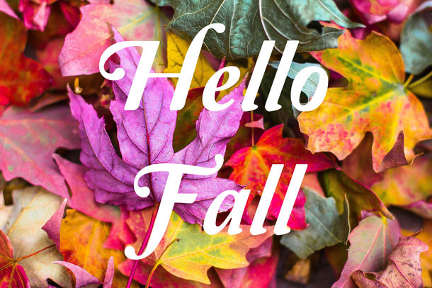 Colored Leaves - Hello Fall Pictures, Photos, and Images for Facebook ...