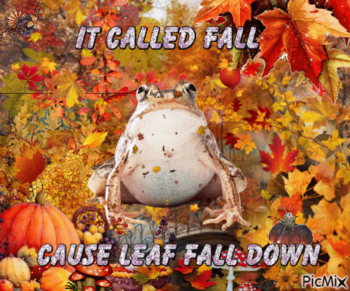 It's Called Fall Pictures, Photos, and Images for Facebook, Tumblr ...