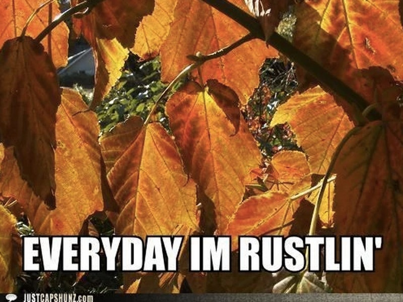 Every Day I'm Rustlin Pictures, Photos, and Images for Facebook, Tumblr ...