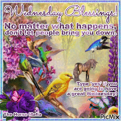 No Matter What Happens, Don't Let People Bring You Down. Wednesday ...