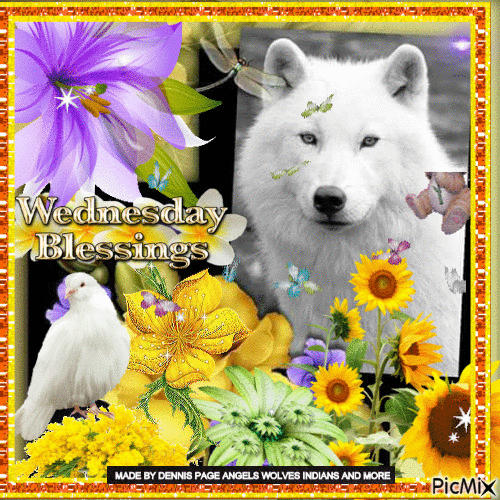 White Wolf Wednesday Blessings Pictures, Photos, and Images for ...