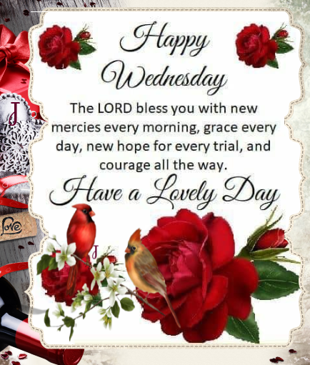 Red Rose - Happy Wednesday Pictures, Photos, and Images for Facebook ...