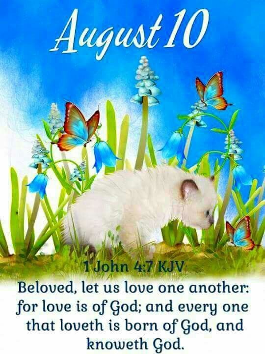 August 10 Pictures, Photos, and Images for Facebook, Tumblr, Pinterest ...