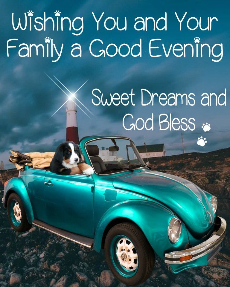 Doggy In Car - Good Evening Quote Pictures, Photos, and Images for ...