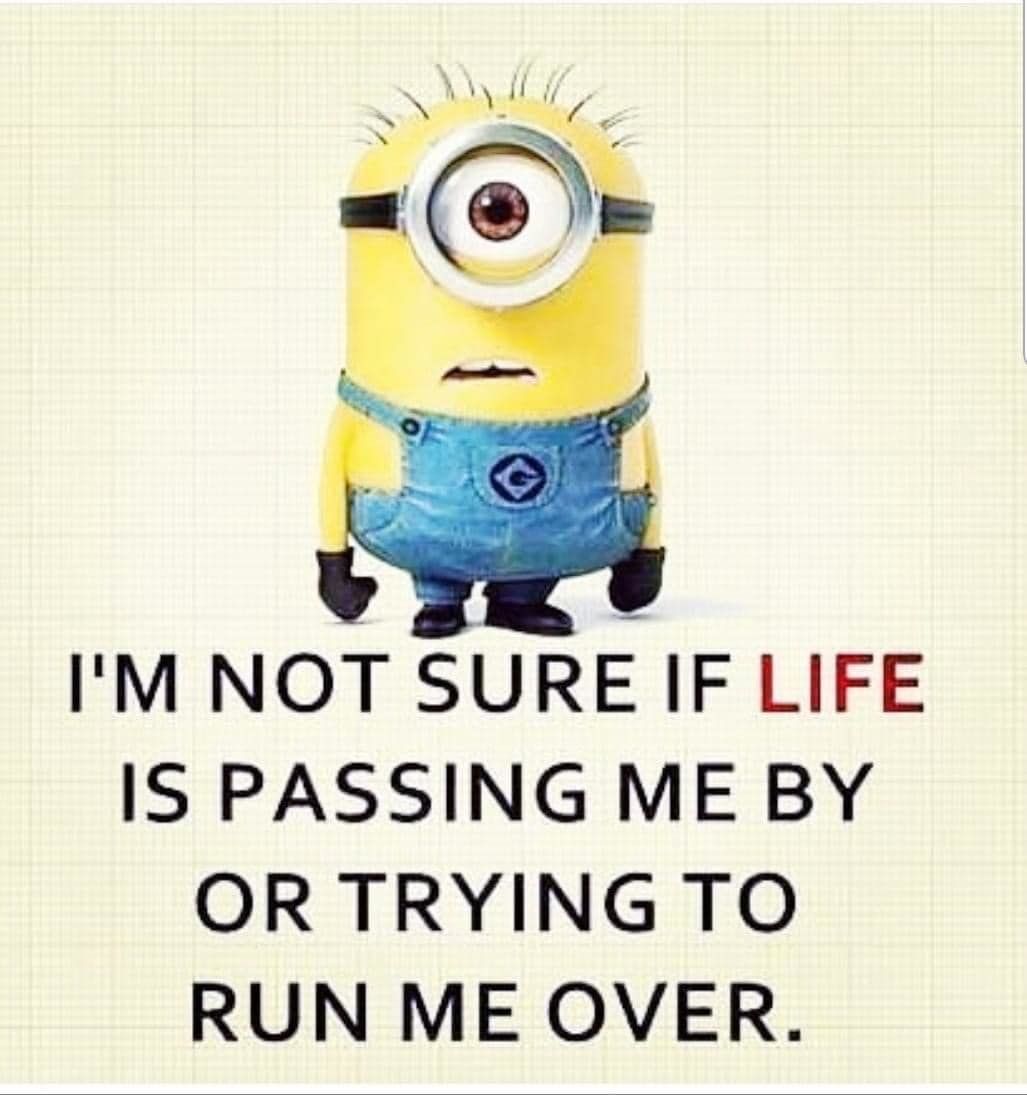 I'm Not Sure If Life Is Passing Me By Or Trying To Run Me Over ...