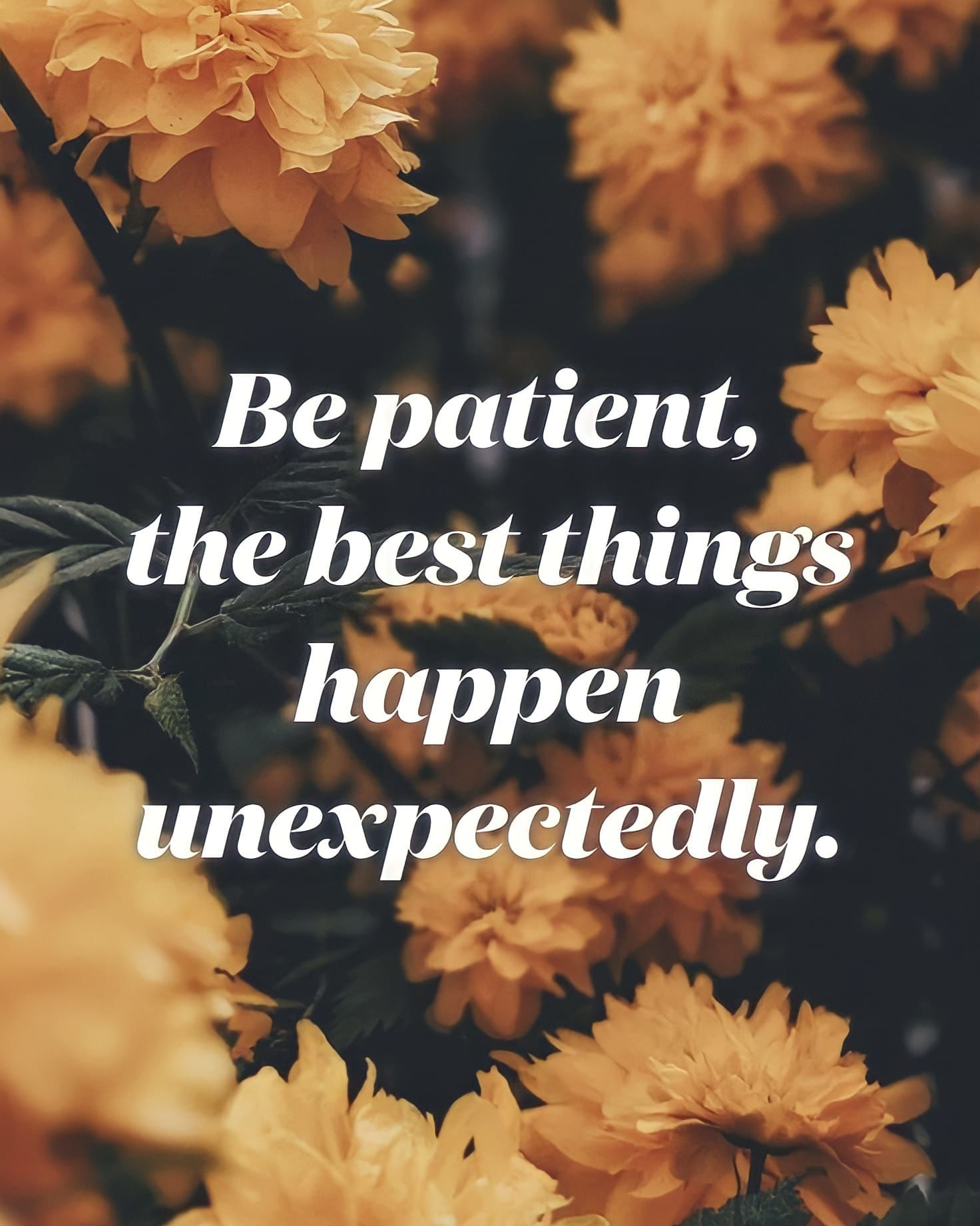 Be Patient, The Best Things Happen Unexpectedly. Pictures, Photos, and ...