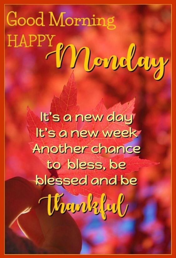 Good Morning, Happy Thankful Monday Pictures, Photos, and Images for ...