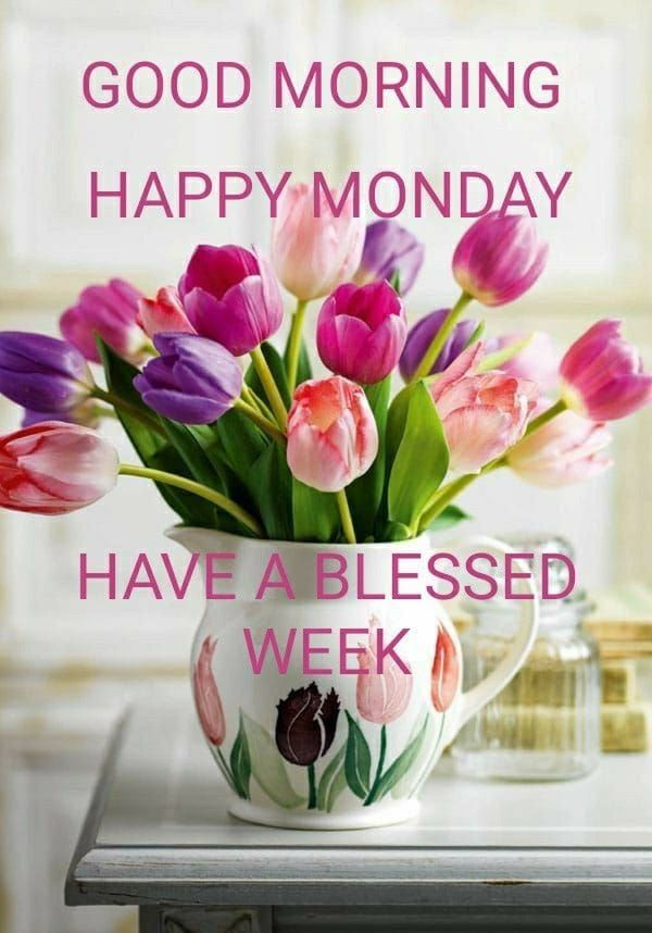 Fresh Vase Of Tulips - Good Morning, Happy Monday. Have A Blessed Week ...