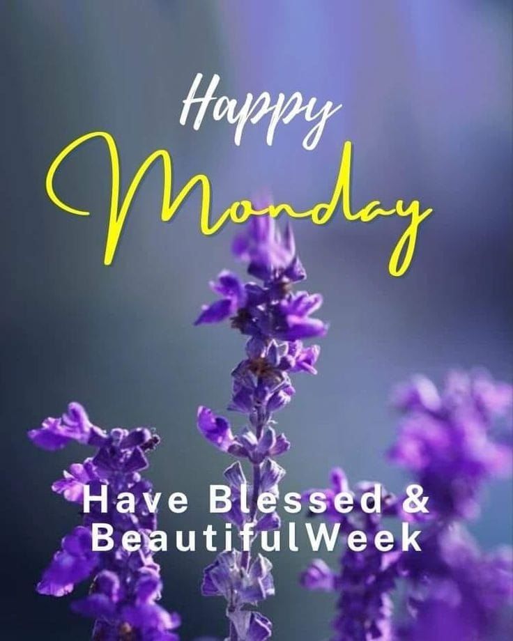 Have A Blessed & Beautiful Week Pictures, Photos, and Images for ...