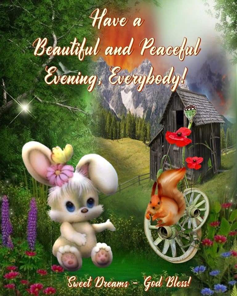 Have A Beautiful And Peaceful Evening, Everybody! Pictures, Photos, and ...