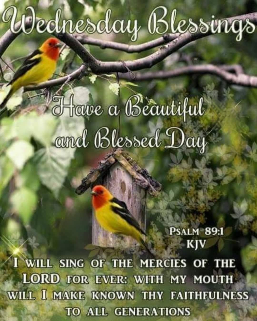 Wednesday Blessings, Have A Beautiful And Blessed Day Pictures, Photos ...