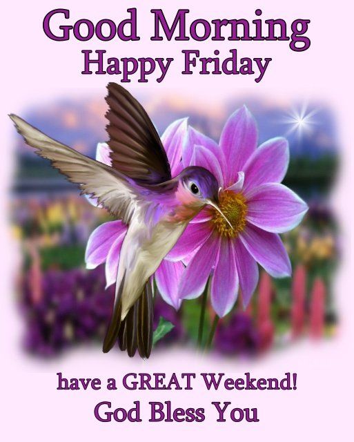 Hummingbird Beauty - Good Morning, Happy Friday Pictures, Photos, and ...