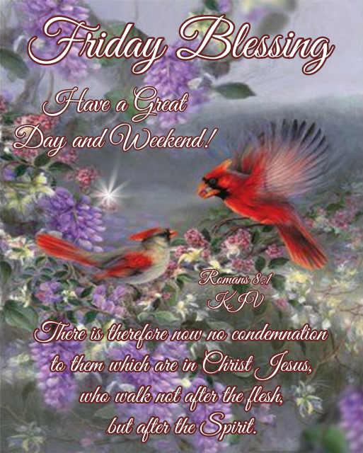 Red Cardinal - Friday Blessing Pictures, Photos, and Images for ...