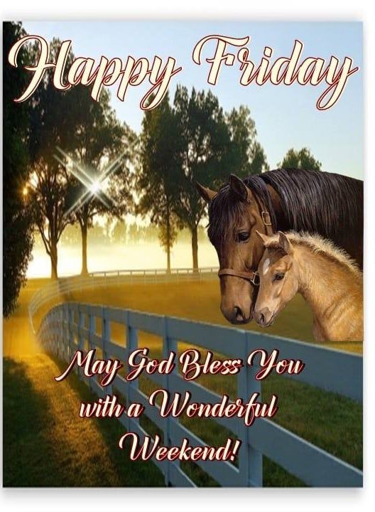 Horse Family - Happy Friday Quote Pictures, Photos, and Images for ...