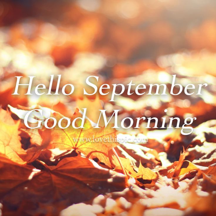 Hello September, Good Morning Pictures, Photos, and Images for Facebook ...