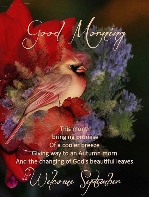 This Month Bringing Promise Of A Cooler Breeze, Giving Way To An Autumn ...