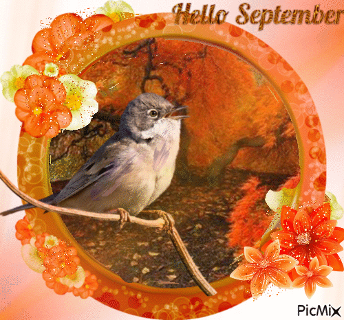 Hello September Birdy Pictures, Photos, and Images for Facebook, Tumblr ...