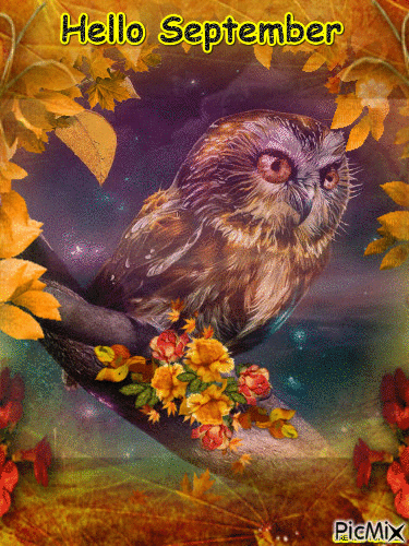 Hello September With Owl Gifs Pictures, Photos, and Images for Facebook ...