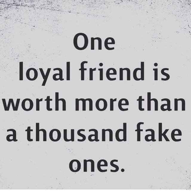 One Loyal Friend Is Worth More Than A Thousand Fake Ones. Pictures ...