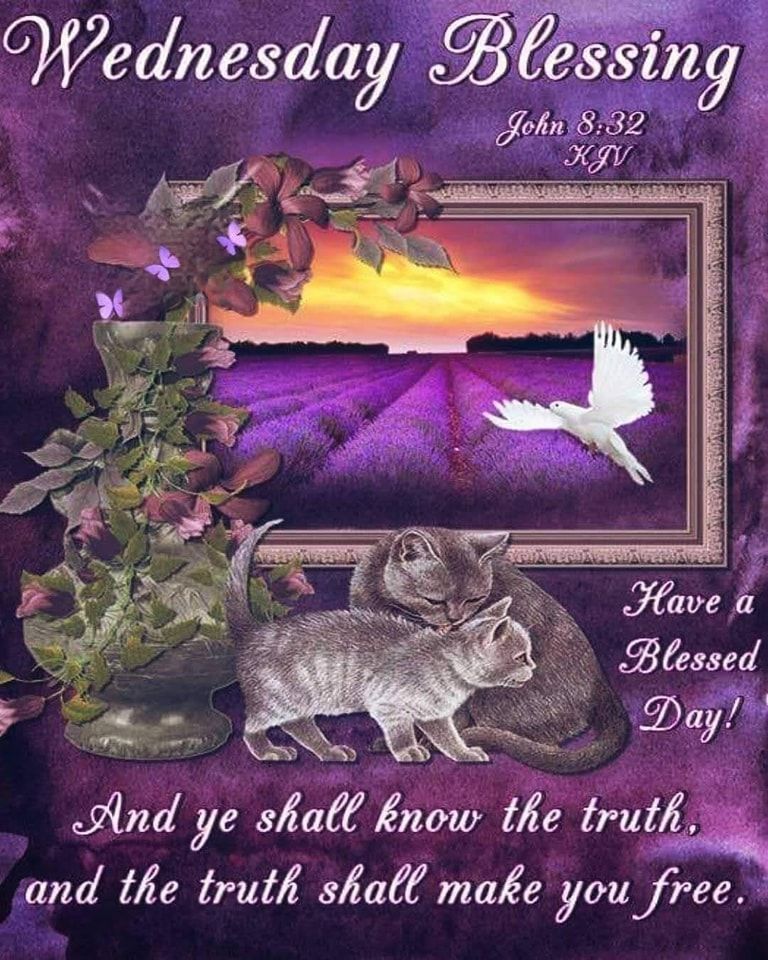 Wednesday Blessing Scripture (John 8:32) Pictures, Photos, and Images ...