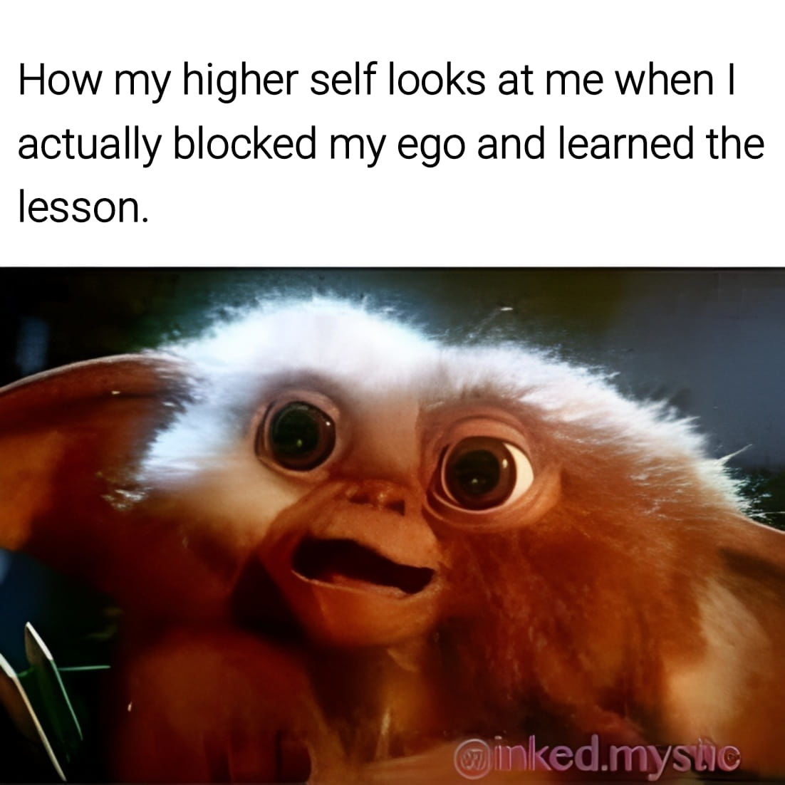 How My Higher Self Looks At Me When I Actually Blocked My Ego And ...