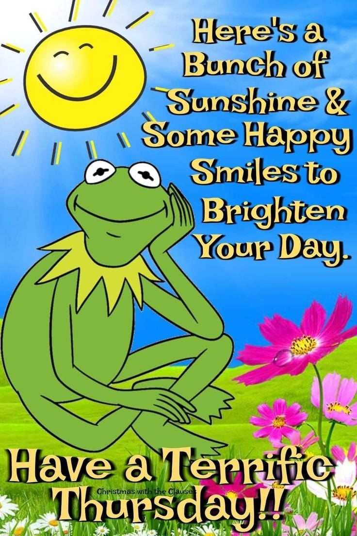 Here's A Bunch Of Sunshine And Some Happy Smiles To Brighten Your Day ...