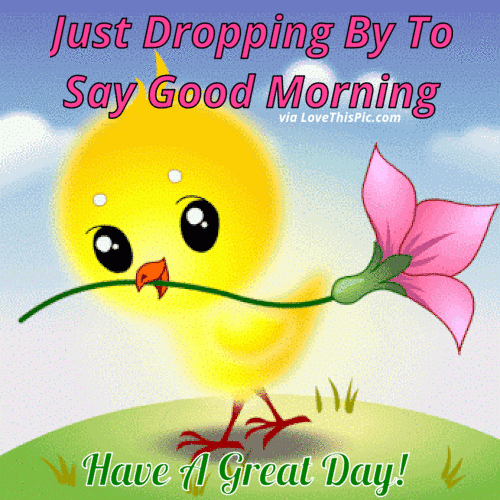 Cute Chick With Flower - Dropping By To Say Good Morning Pictures ...