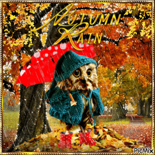 Autumn Rain Pictures, Photos, and Images for Facebook, Tumblr ...