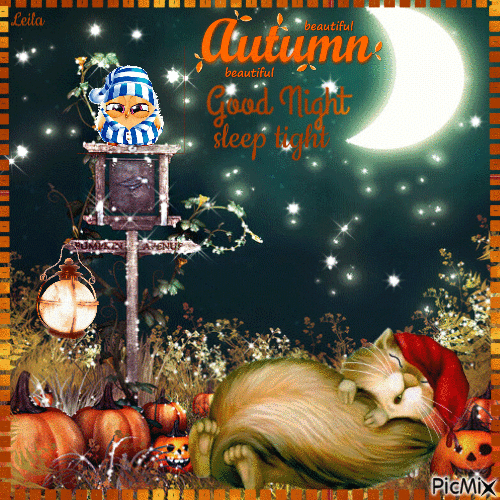 Beautiful Autumn, Good Night Pictures, Photos, and Images for Facebook ...