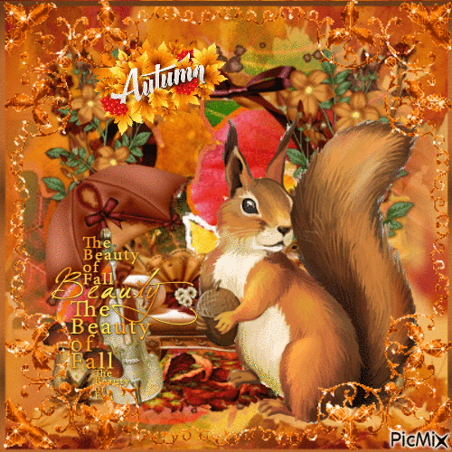Autumn Squirrel - The Beauty Of Fall Pictures, Photos, and Images for ...