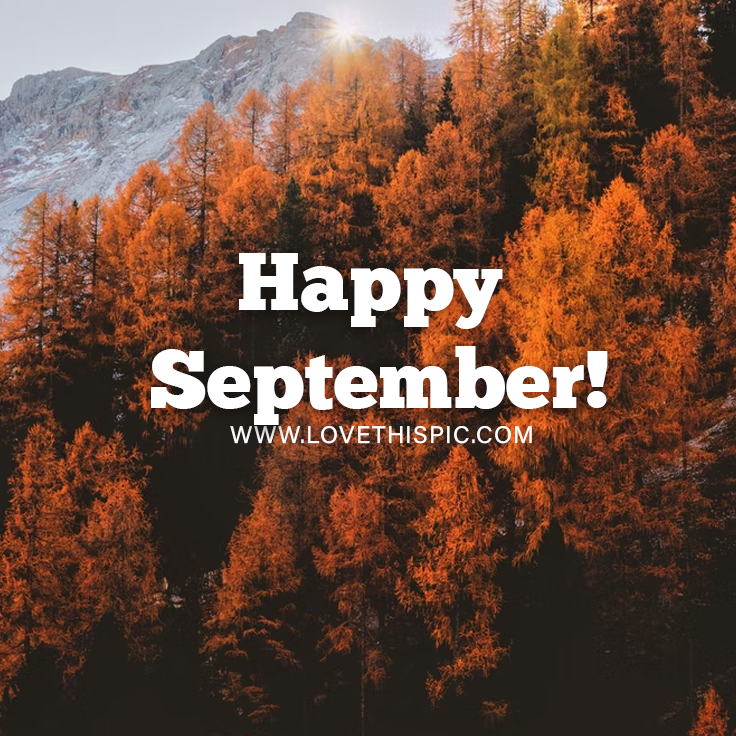 Brown Trees In Forest - Happy September! Pictures, Photos, and Images ...