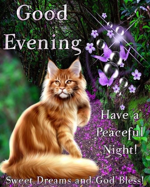 Good Evening. Have A Peaceful Night! Pictures, Photos, and Images for ...