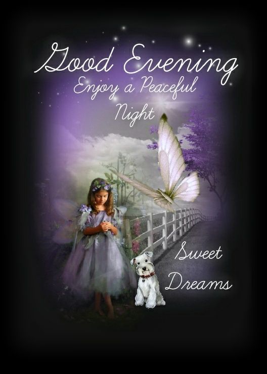 Good Evening, Enjoy A Peaceful Night. Pictures, Photos, and Images for ...