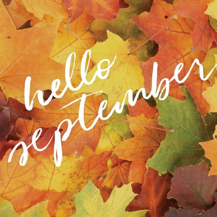 Brown And Yellow Maple Leaves - Hello September Pictures, Photos, and ...