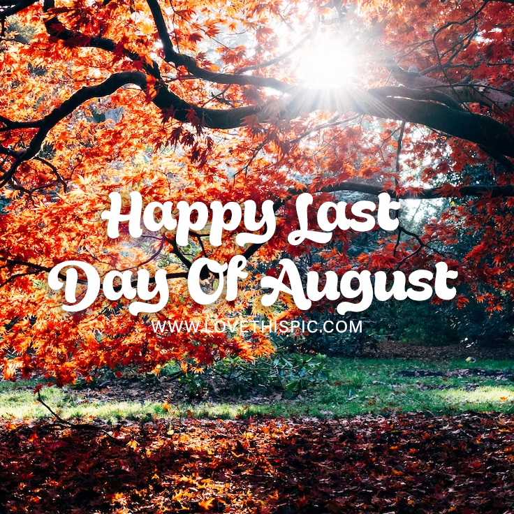 Beautiful Autumn Forest In Light - Happy Last Day Of August Pictures ...