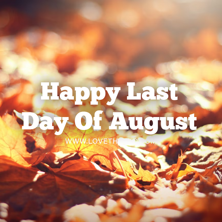 Glowing Maple Leaves - Happy Last Day Of August Pictures, Photos, and ...