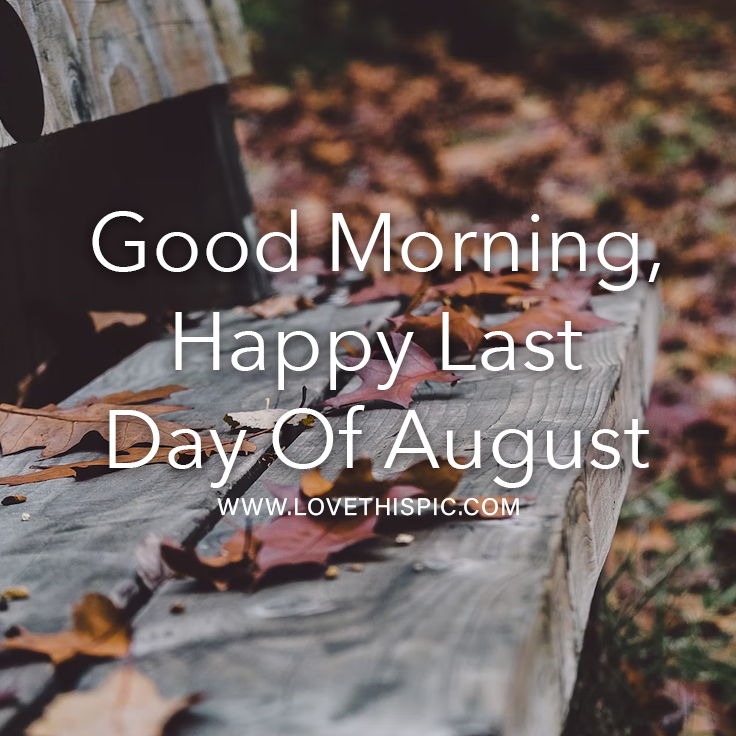 Maple Leaves On Bench - Good Morning, Happy Last Day Of August Pictures ...