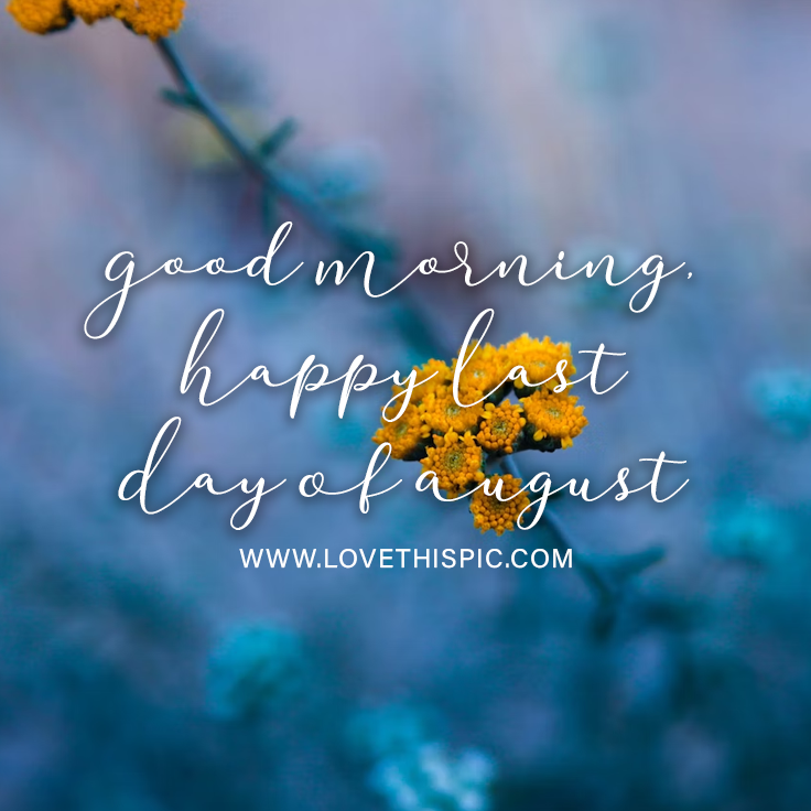 Small Yellow Flower On Branch - Good Morning, Happy Last Day Of August ...