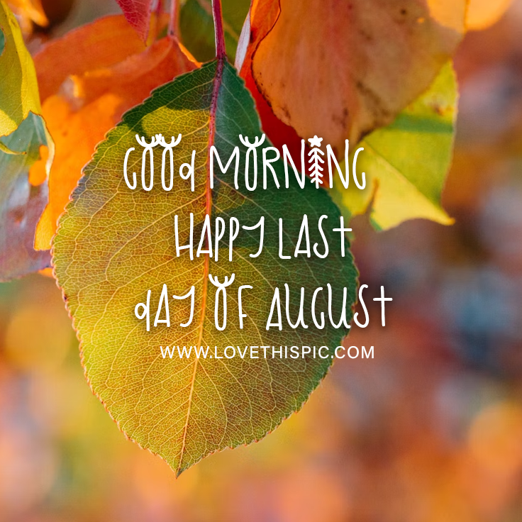 Green Fall Leaves - Good Morning, Happy Last Day Of August Pictures ...