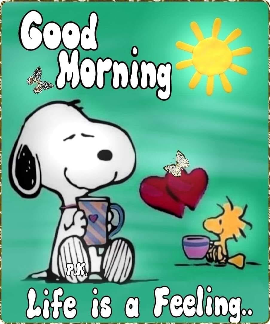 Good Morning, Life Is A Feeling.. Pictures, Photos, and Images for ...