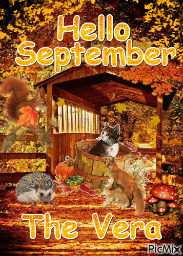 Cat, Fox And Groundhog - Hello September Pictures, Photos, and Images ...