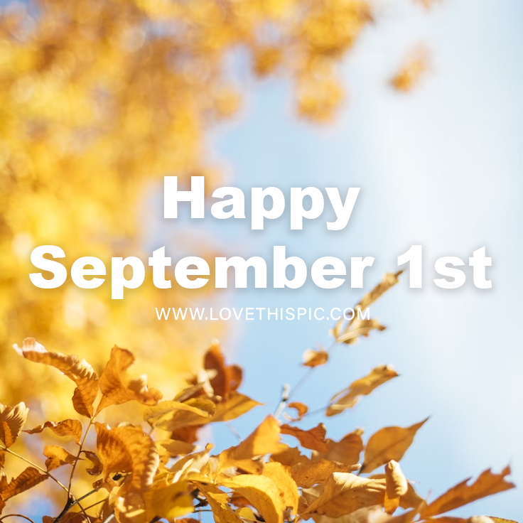 Yellow Leaf Tree - Happy September 1st Pictures, Photos, and Images for ...