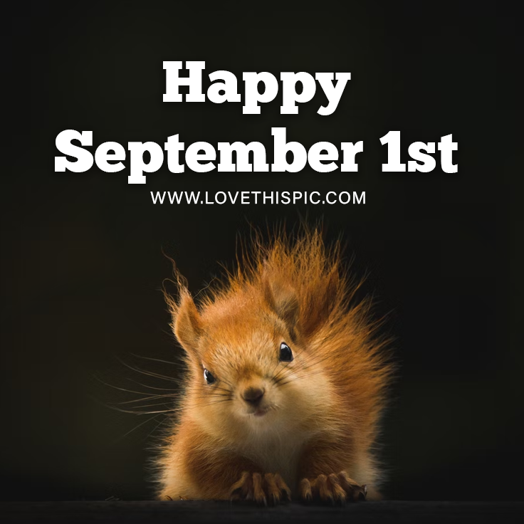 Cute Squirrel - Happy September 1st Pictures, Photos, and Images for ...