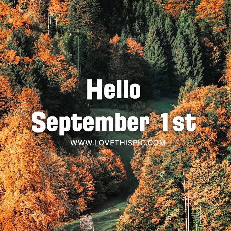 Orange And Green Forest - Hello September 1st Pictures, Photos, and ...