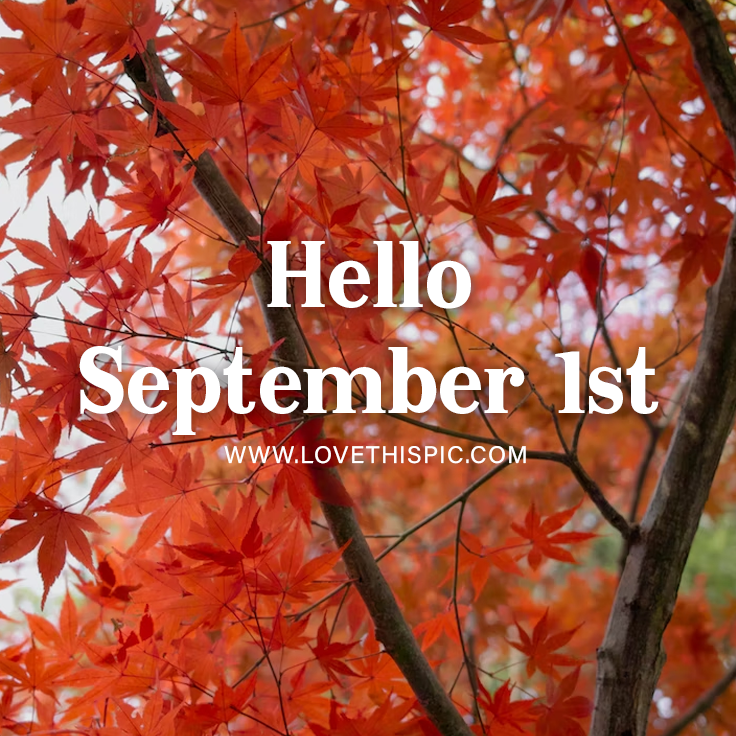 Red Tree Leaves - Hello September 1st Pictures, Photos, and Images for ...